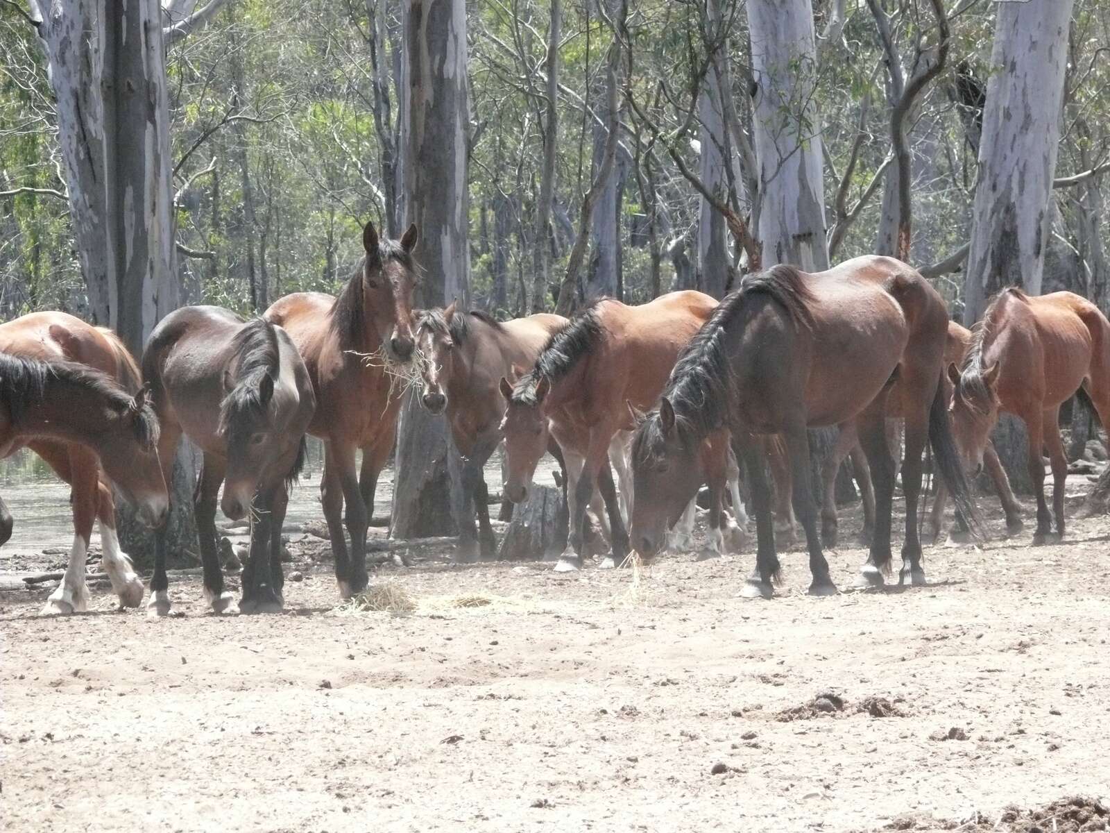 Good riddance, says GVEG | Country News