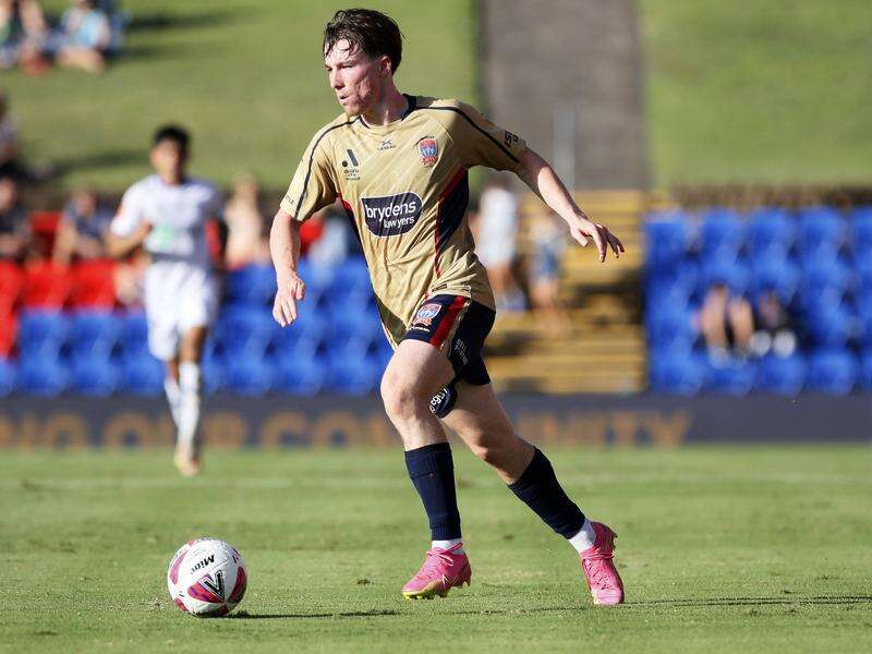 Six of the best as Jet-powered Newcastle maul Mariners | Cobram Courier