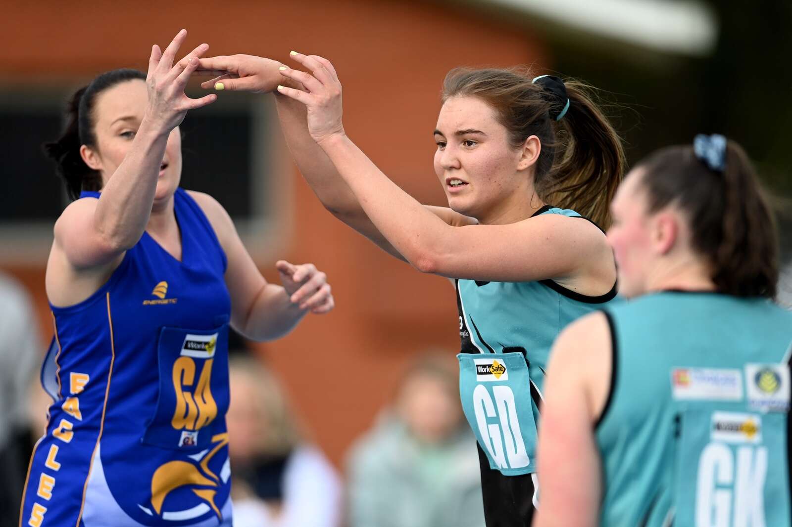 Dookie adopts new approach to help capture elusive flag | Shepparton News