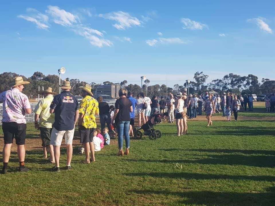 Baa Lap is in the starting gate for Wakool sheep racing | Country News