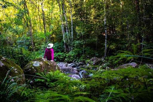 Bushfire Risk Management Strategies | Dairy News Australia