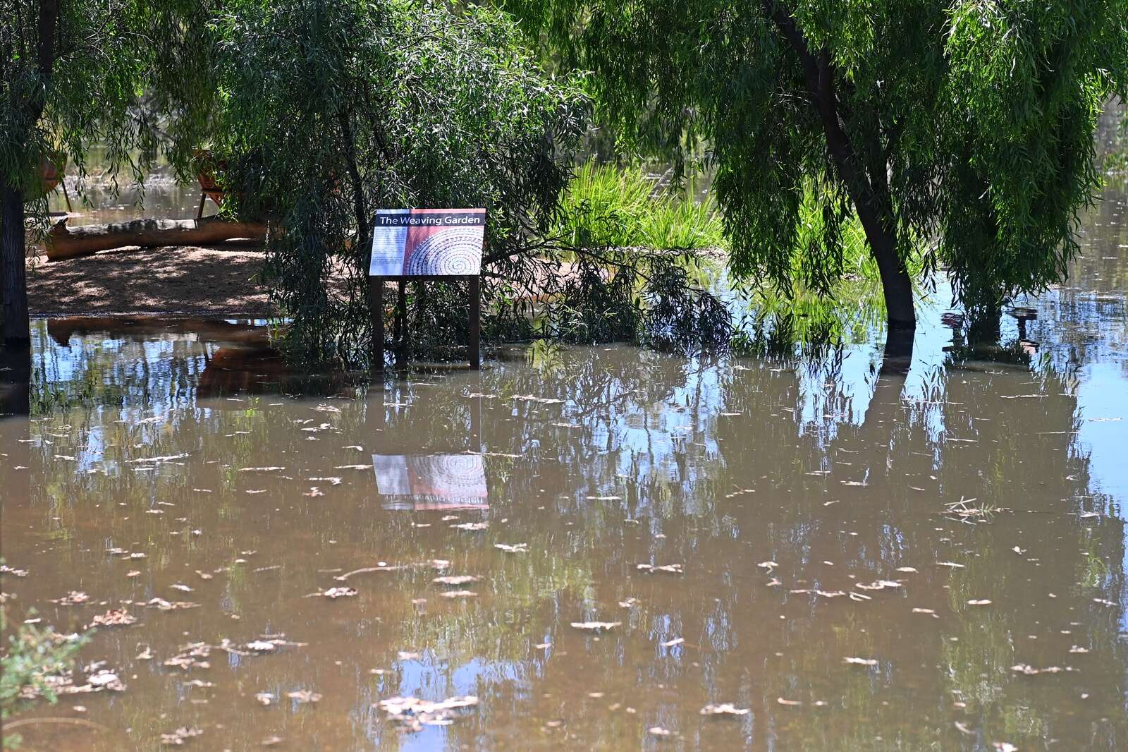WATCH | Thursday, January 11’s flood footage in Shepparton | Shepparton ...