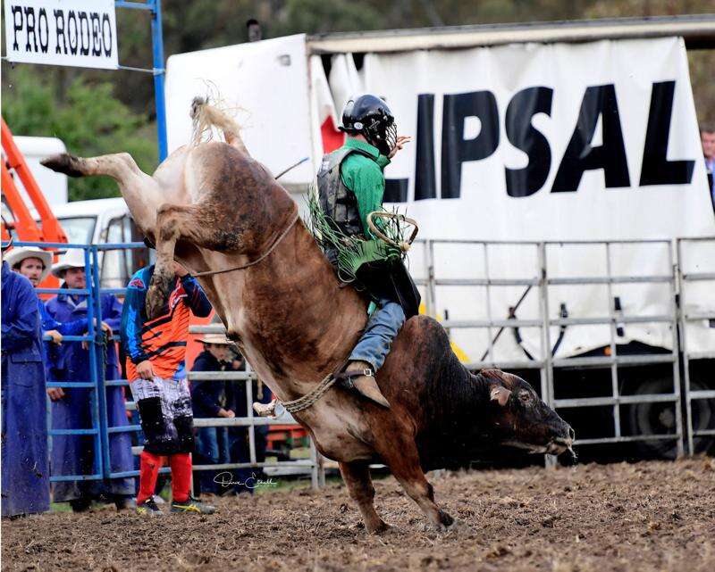 First Victorian rodeo since March refuses to give up hope | Country News
