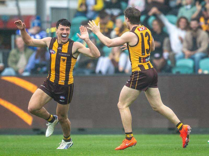 Hawthorn make AFL top eight with Kangaroos rout | Kyabram Free Press
