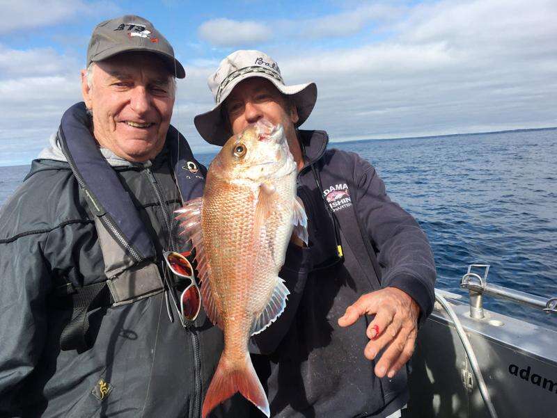 Snapper on the bite | Shepparton News