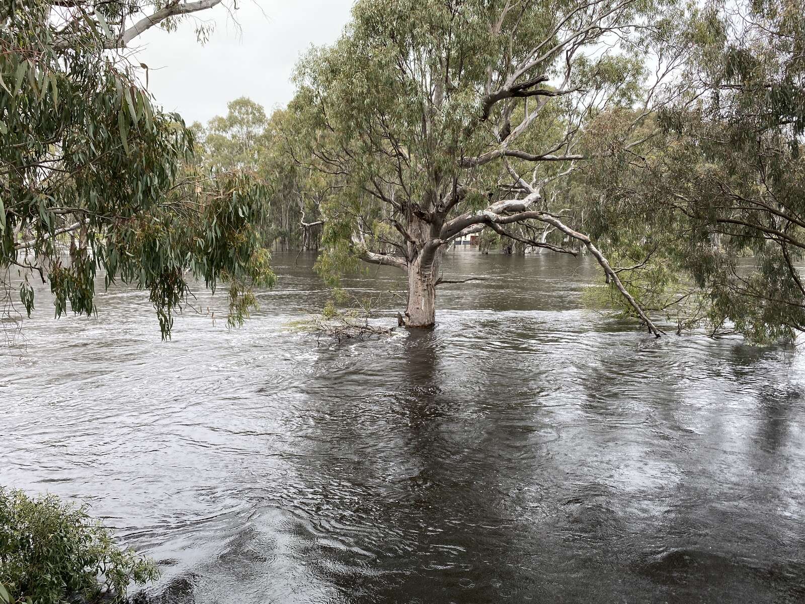 Rain results in more minor flood warnings | Country News
