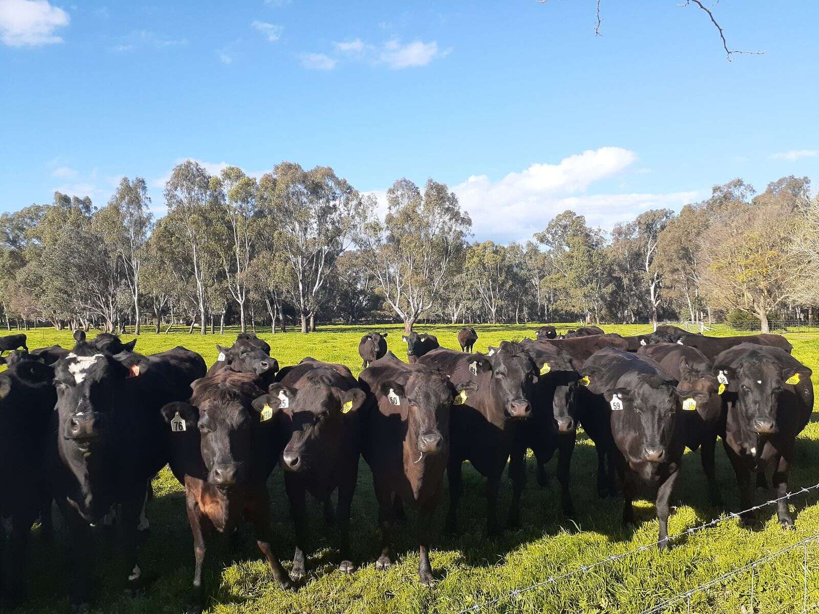 Sykes searches for sustainable carbon neutral farming solution | Cobram ...