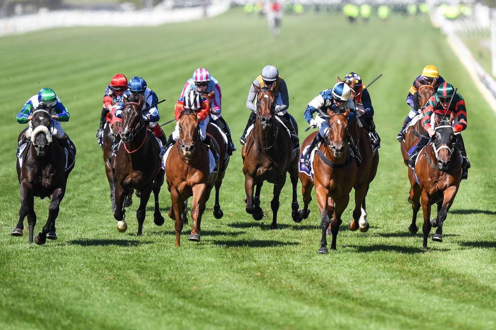 Payney’s Punt | Newmarket Handicap Day preview and tips | Country News