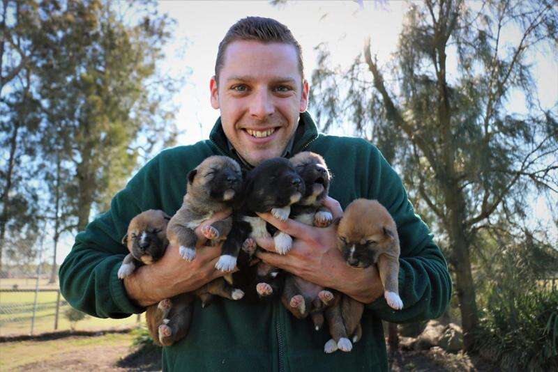 Fauna Park boss the king of conservation | Kyabram Free Press