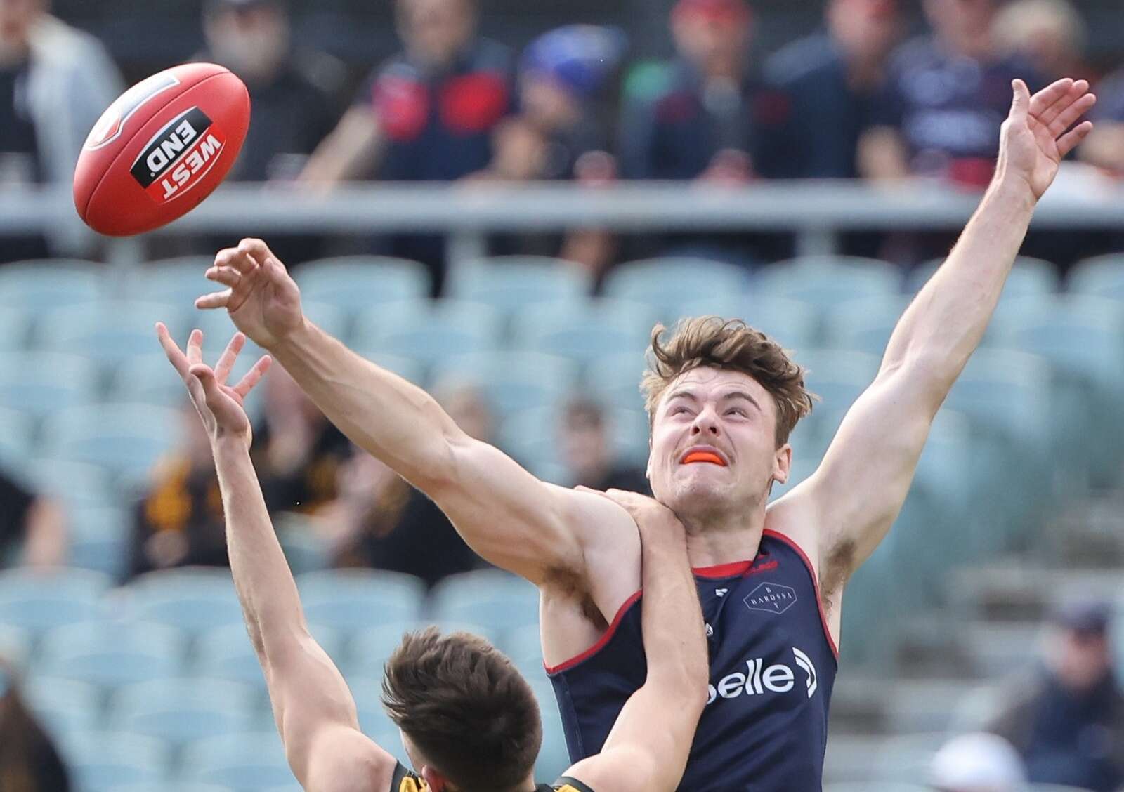 Bears product makes SANFL return following AFL delisting | Shepparton News