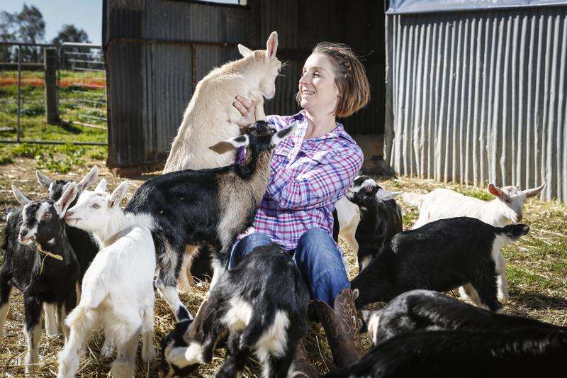 Soap has become the star at Windella Farm | Shepparton News