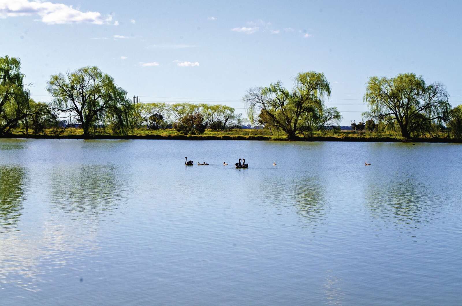 Push for Finley Lake clarity | Southern Riverina News