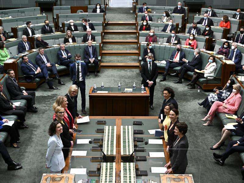 Parliament conduct watchdog 'no panacea' | Country News