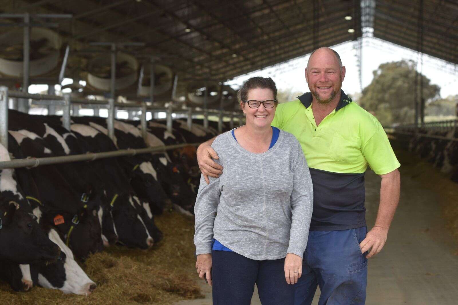 Bedding down a new dairy barn | Country News