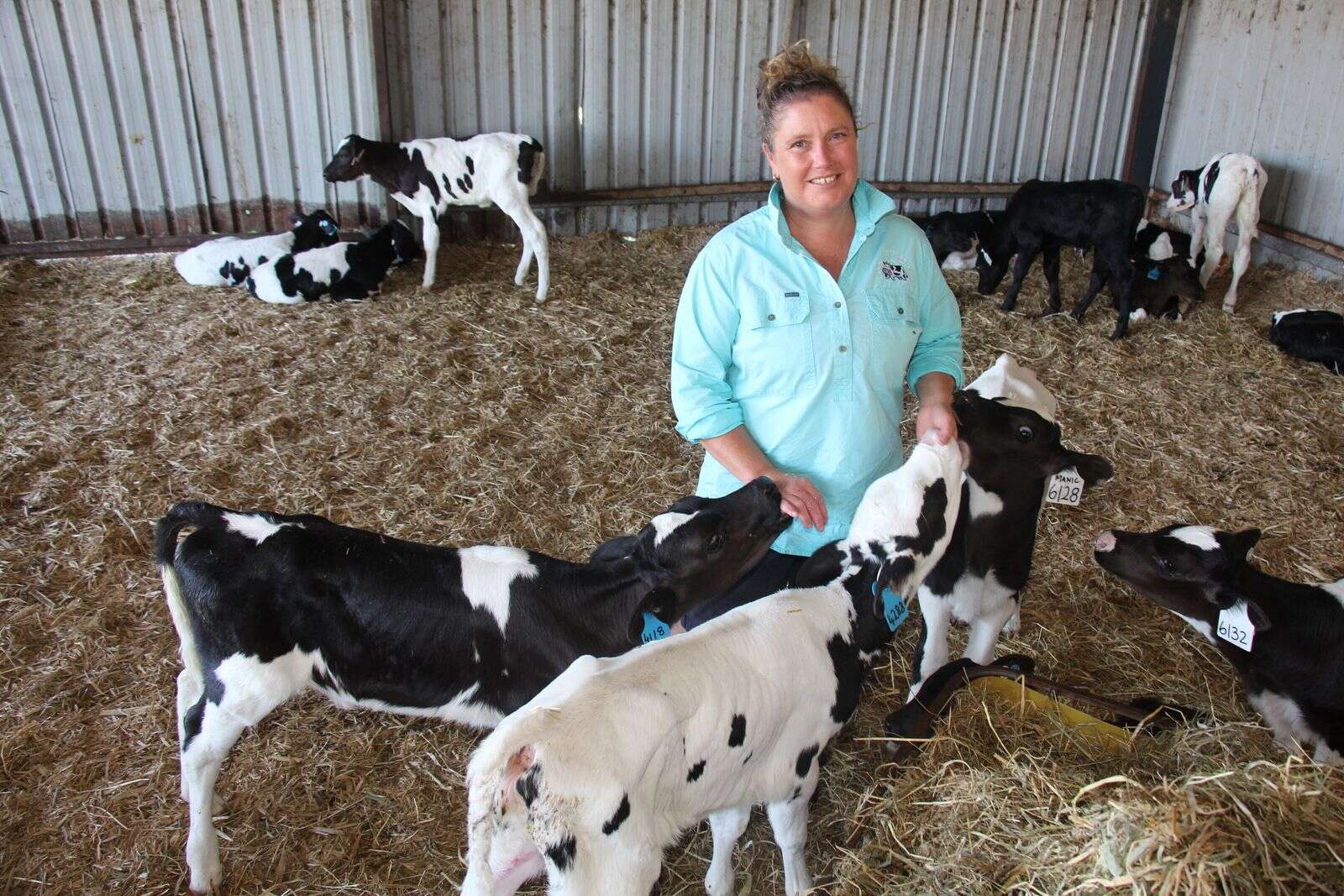 Breeding for better results | Dairy News Australia