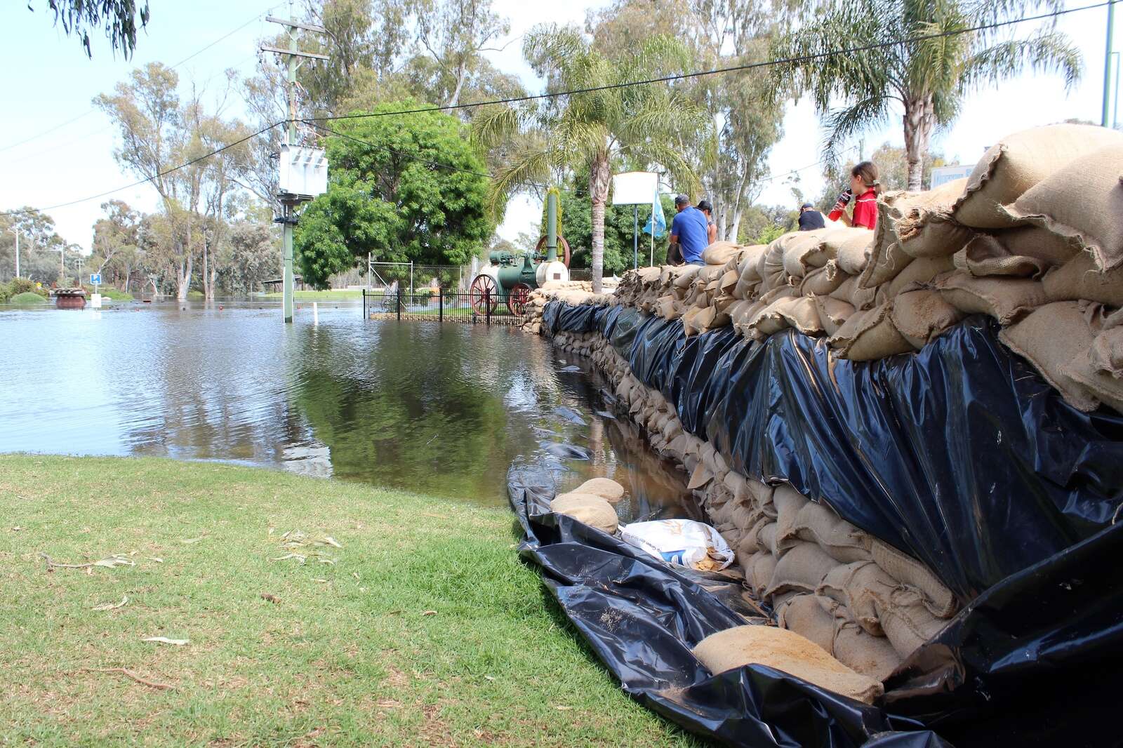 Efforts continue to prepare Moama for flooding | Shepparton News