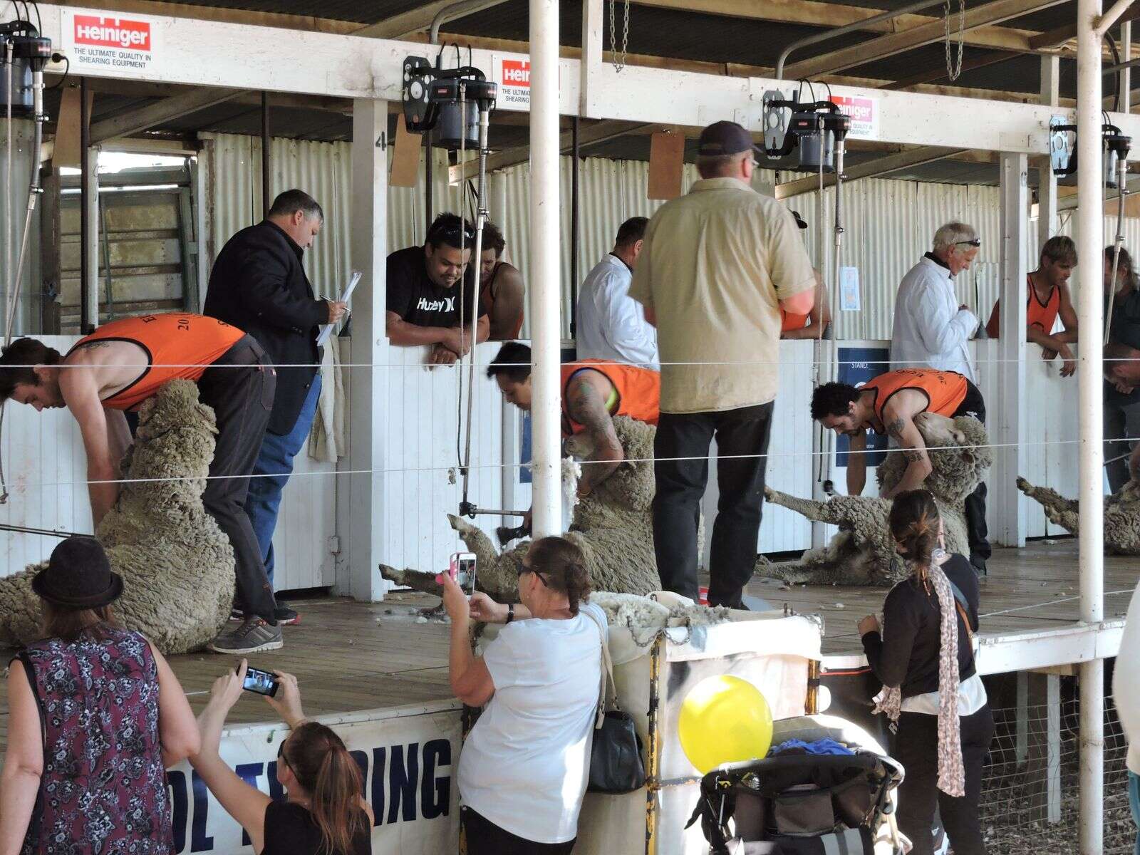 Speed shearing competition features at district show | Country News