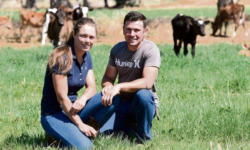 Love of cows unites pair | Dairy News Australia