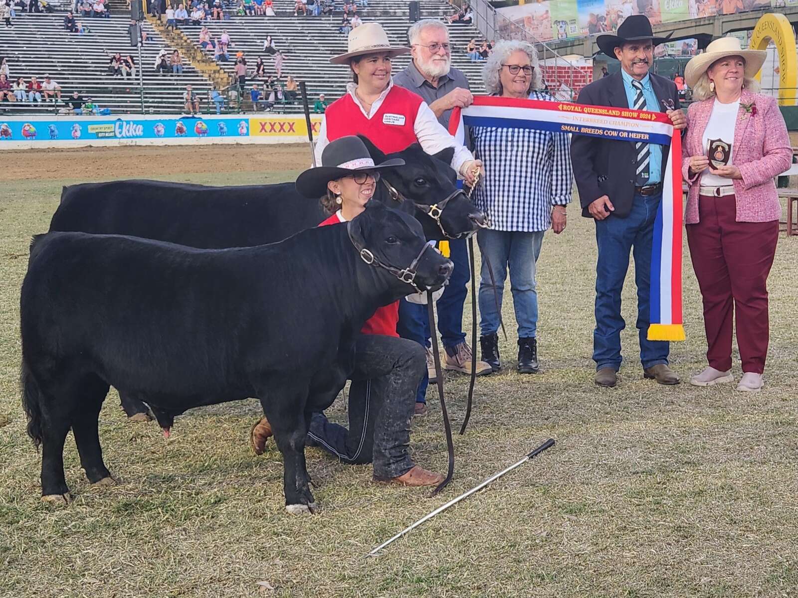 Australian Heritage Angus TRADITIONAL GENETICS - SUSTAINABLE BEEF ...