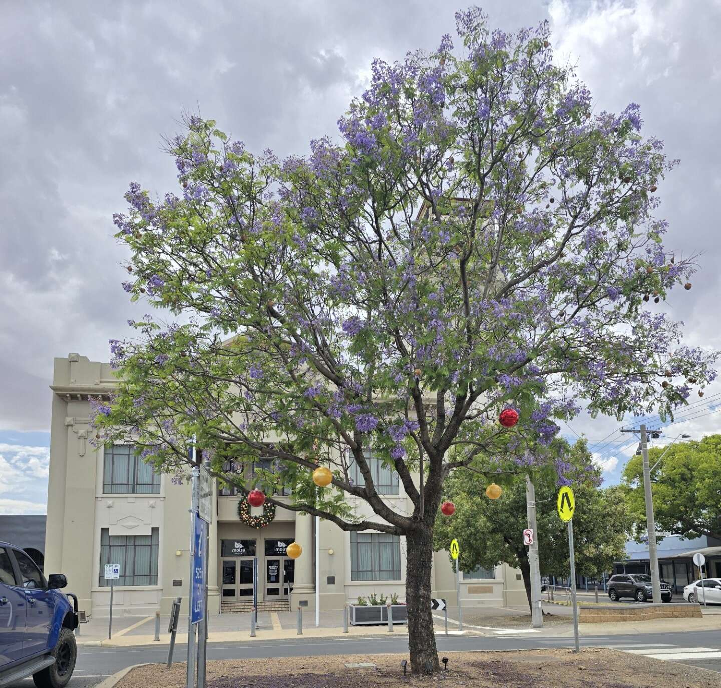 10-year plan for urban trees | Shepparton News