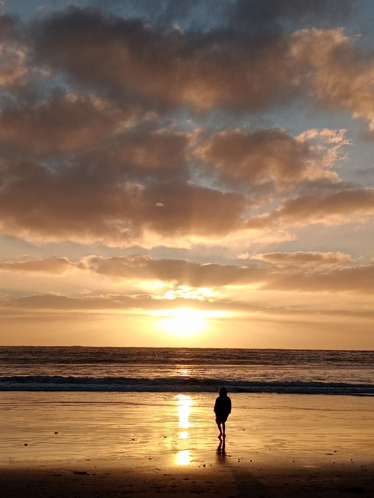 Embracing fearless children | Shepparton News