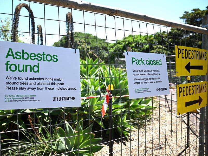 Fines to double for environmental damage under new laws | Country News