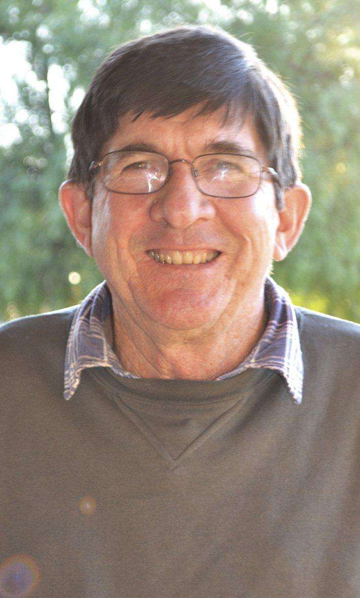 Sulphur deficiency and its impact on rice yields | Southern Riverina News