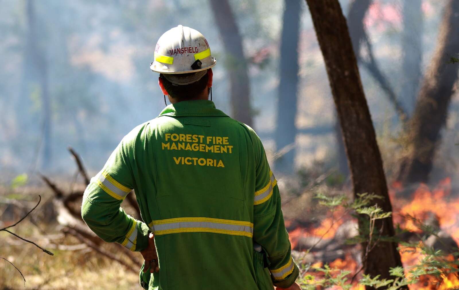 FFMVic to fight fire with fire | Country News