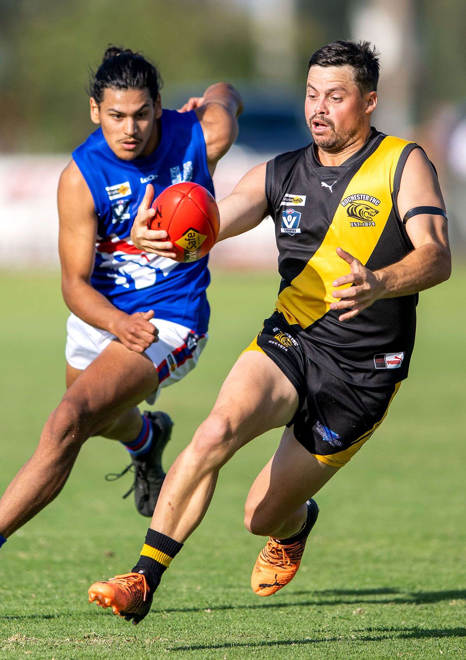 Tigers plan a winning month | Country News