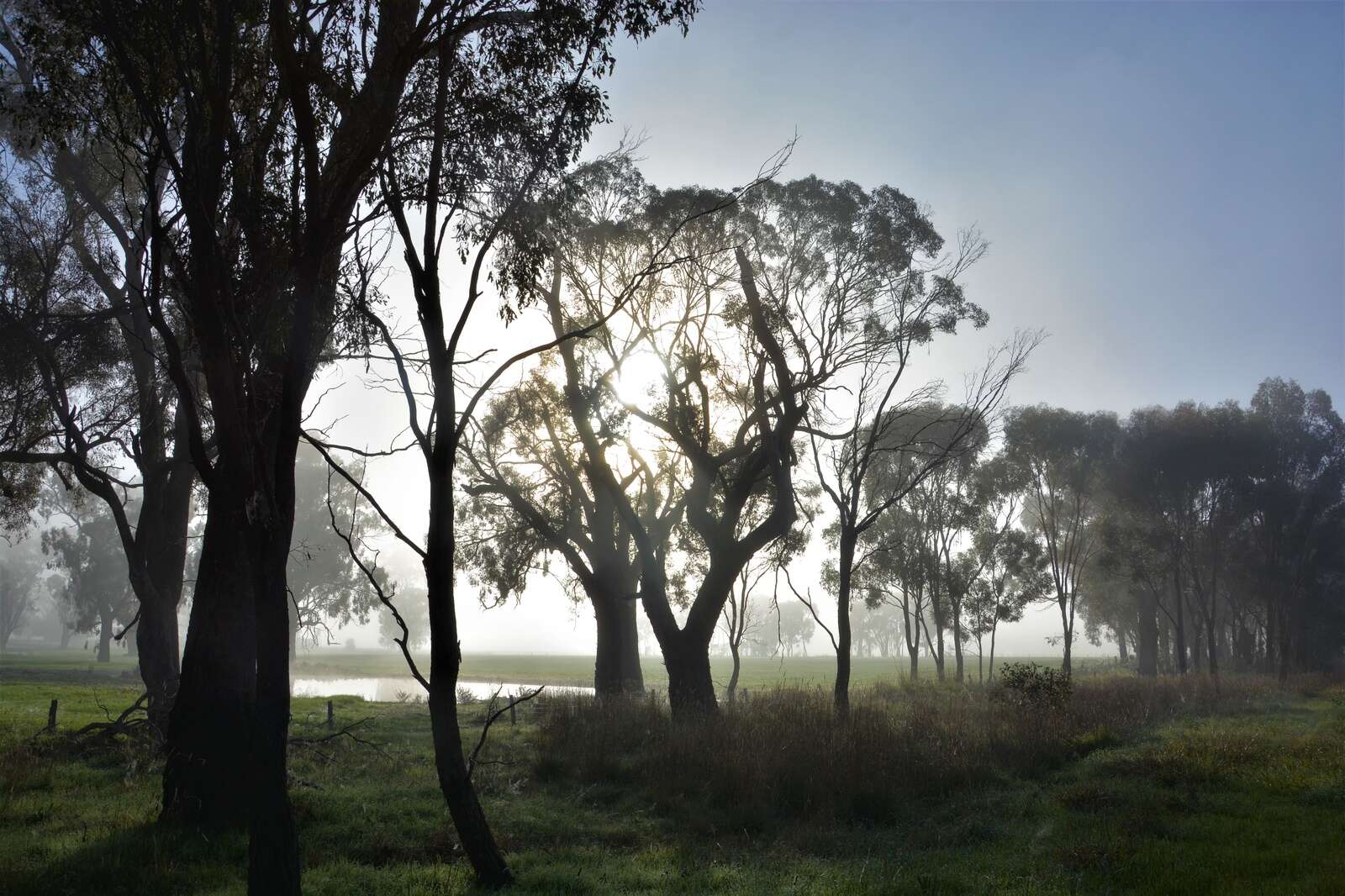 Tuesday weather | Check the Shepparton forecast | Shepparton News