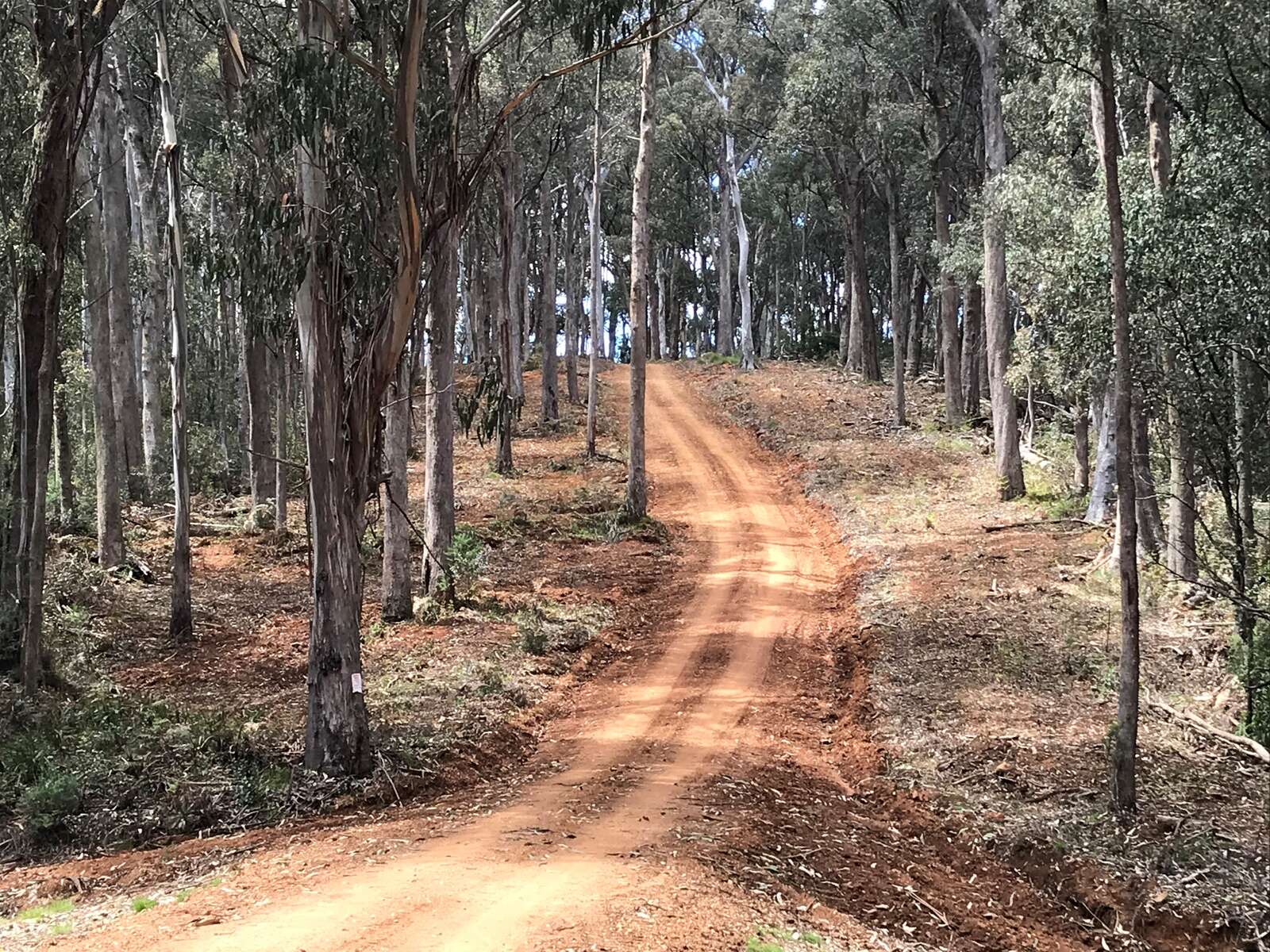 Fuel break works start to reduce bushfire risk | Riverine Herald