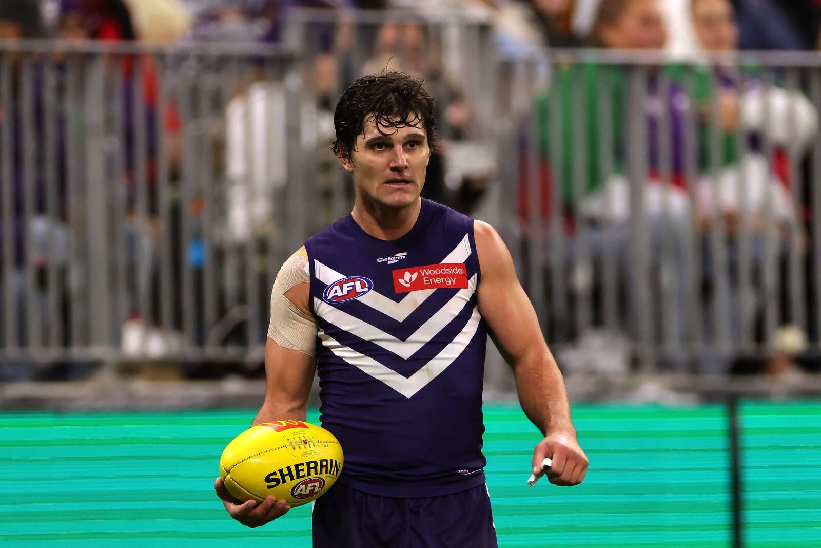 Freo provide update on Schultz, race for Reid heating up | Riverine Herald