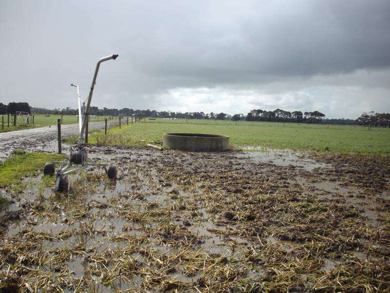 Drainage boosts pasture production and reduces pugging | Dairy News ...