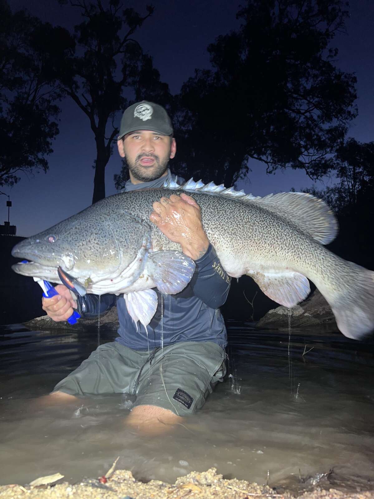 Giant Murray cod caught in Broken River | Riverine Herald