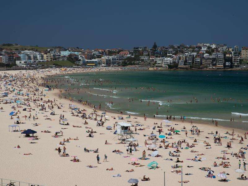 Summer scorcher sparks water safety alert for swimmers | Country News