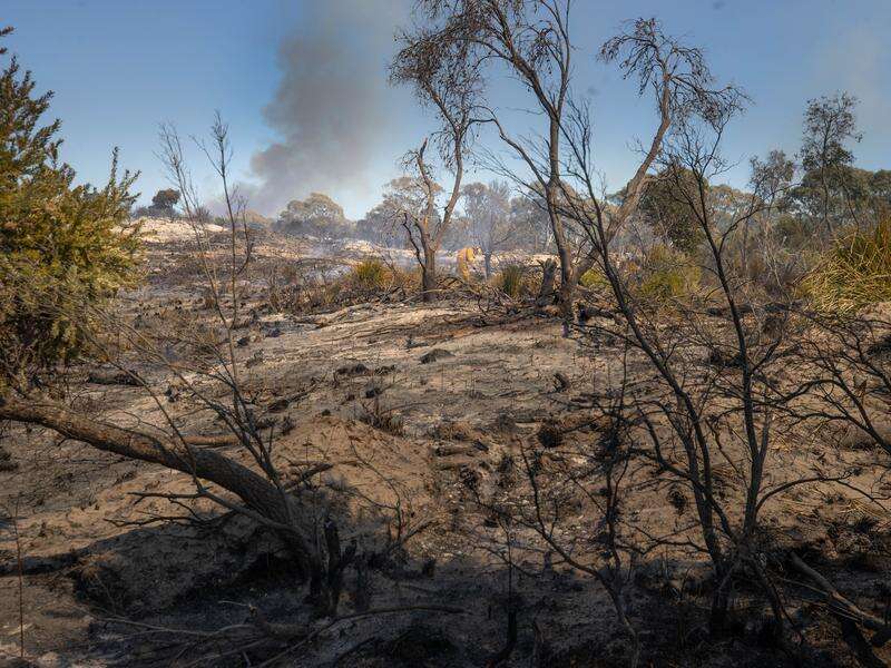 Massive Perth bushfire spreads, homes believed lost | Shepparton News