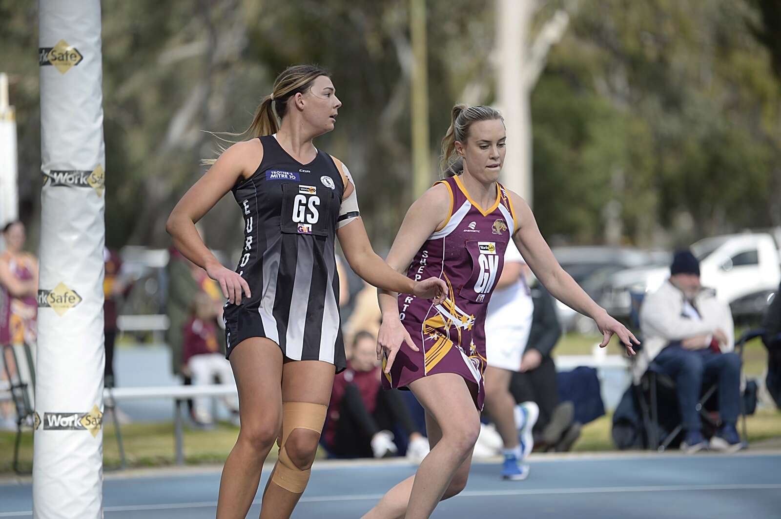 What will remain - the Bears’ stunning run or the Magpies’ crown of ...