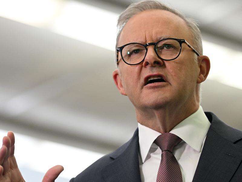 More than enough detail provided on voice: Albanese | Country News