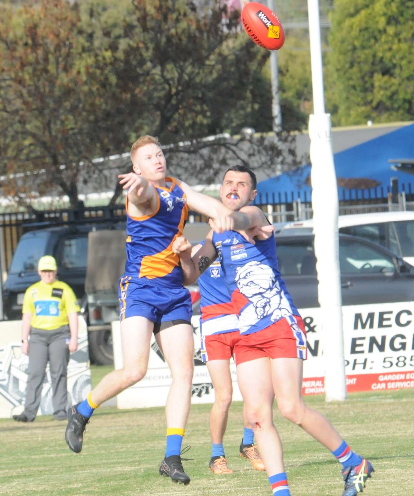 Teenagers debut as Wombats move into management mode | Shepparton News