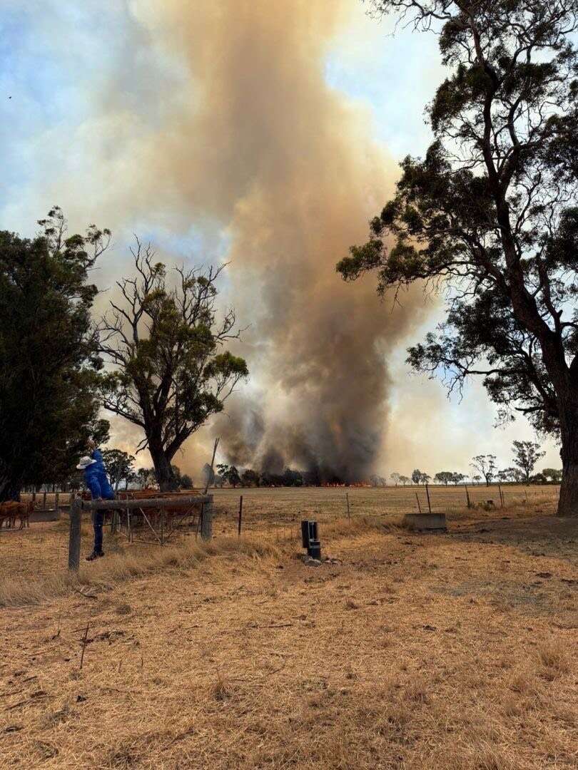 Yarroweyah grass fire destroys homes | Shepparton News