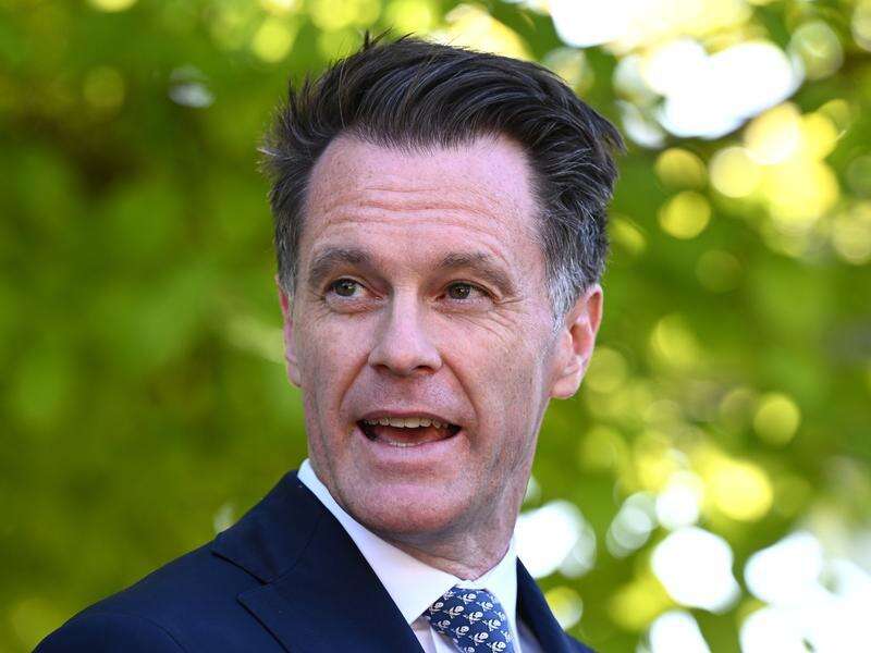 Renegade MP and Minns' mate wins vote in new NSW parly | Kyabram Free Press