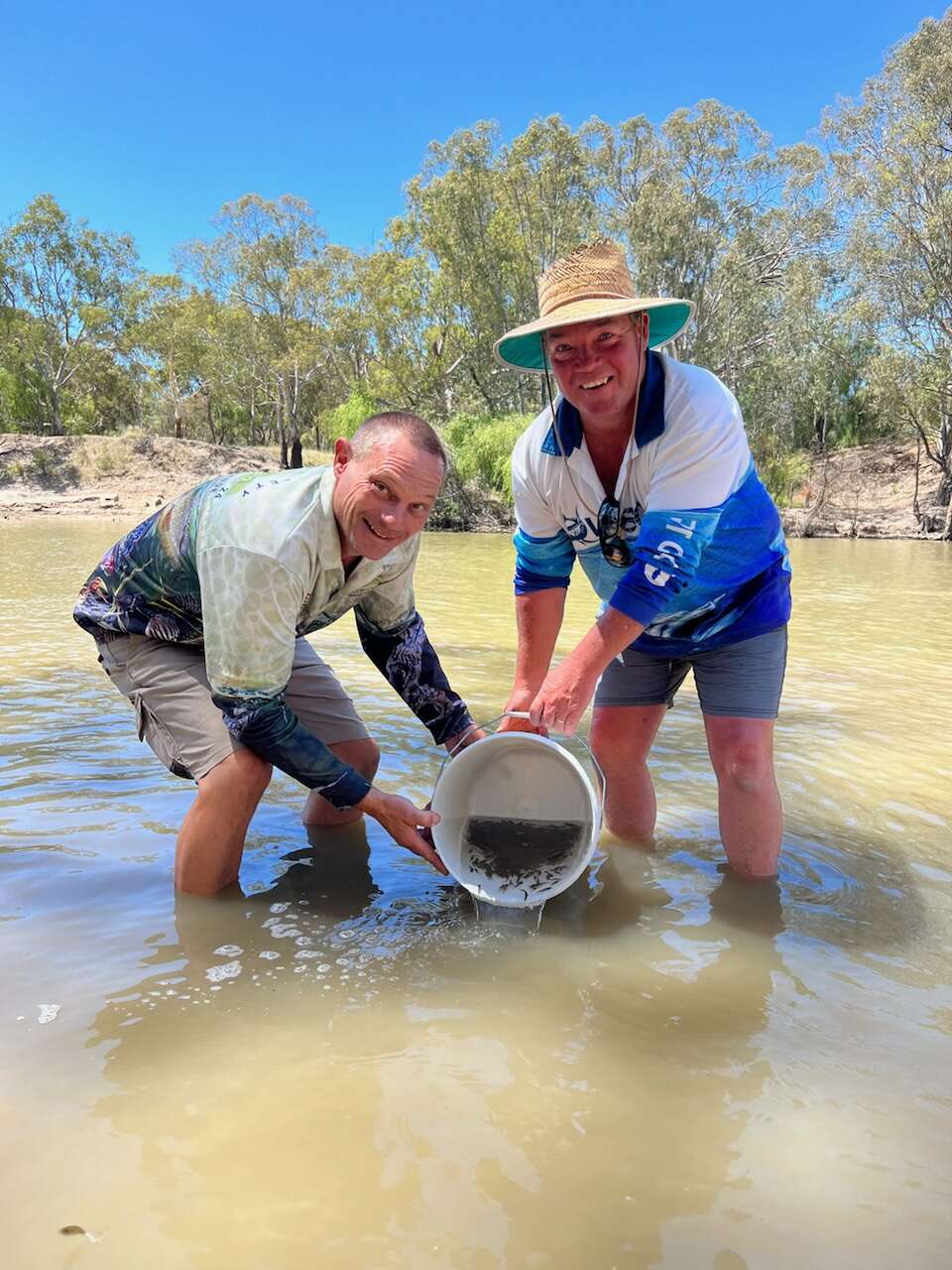 More fish in the ... well, river | Riverine Herald