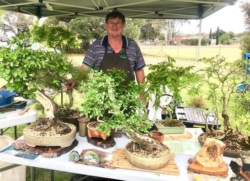 Bonsai Bob to feature at Rotary Art Show | Deniliquin Pastoral Times
