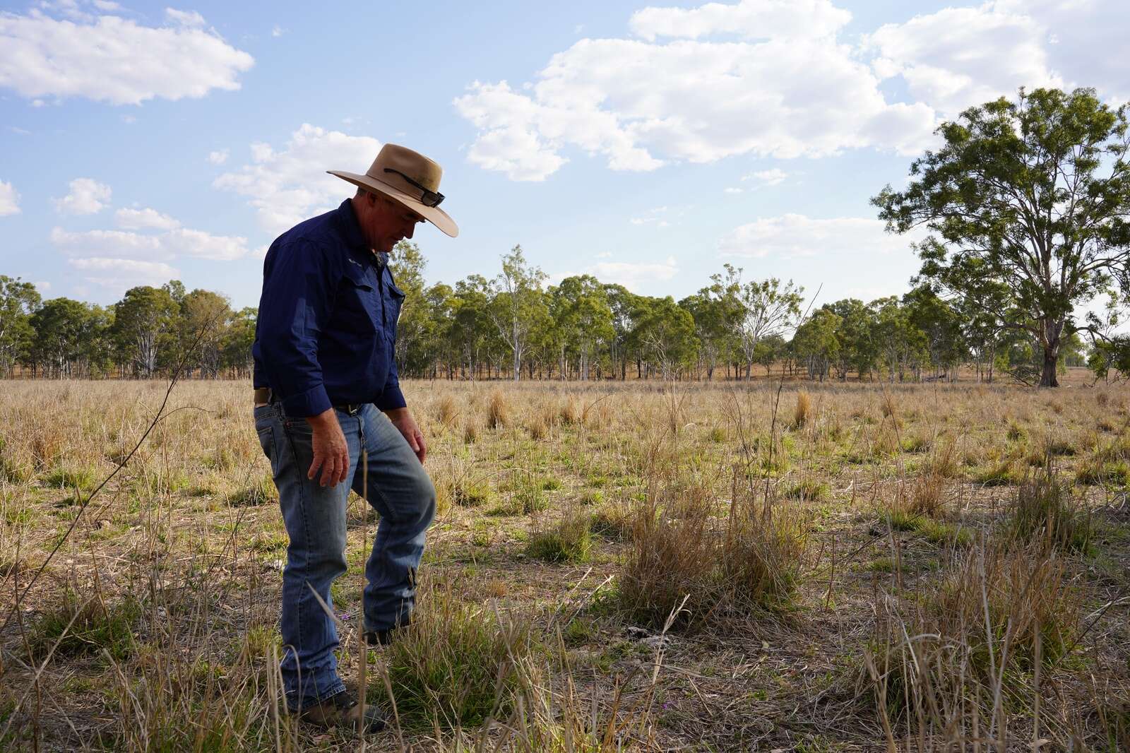 ‘Serious concerns’ over soil carbon offset scheme | Shepparton News