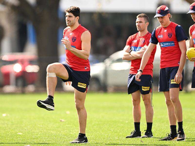 Petracca passes fitness test for AFL semi | Dairy News Australia