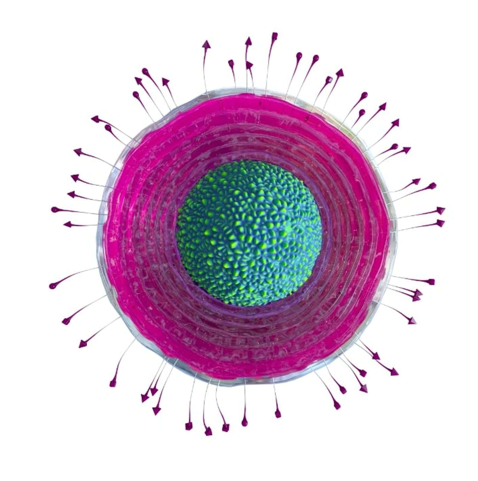 Campaign launched to raise awareness of shingles | Country News