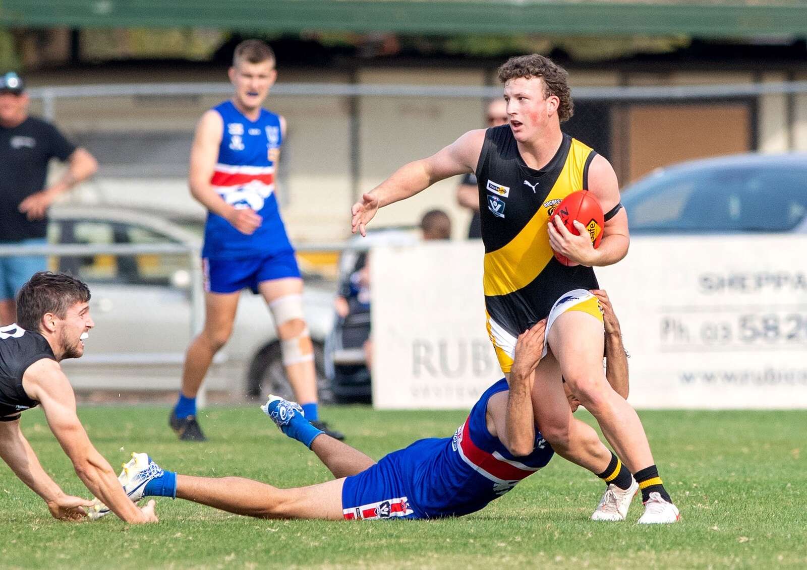 Tigers migrate to Elmore | Riverine Herald