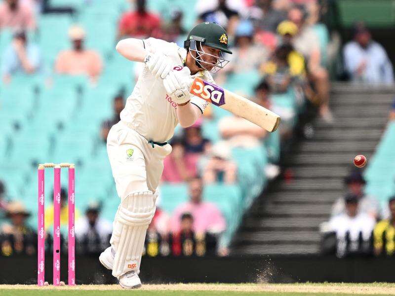 Warner shows off tricks in SCG farewell innings | Riverine Herald