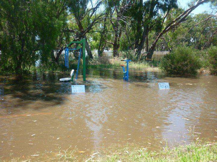 Echuca flood study open for comment | Country News