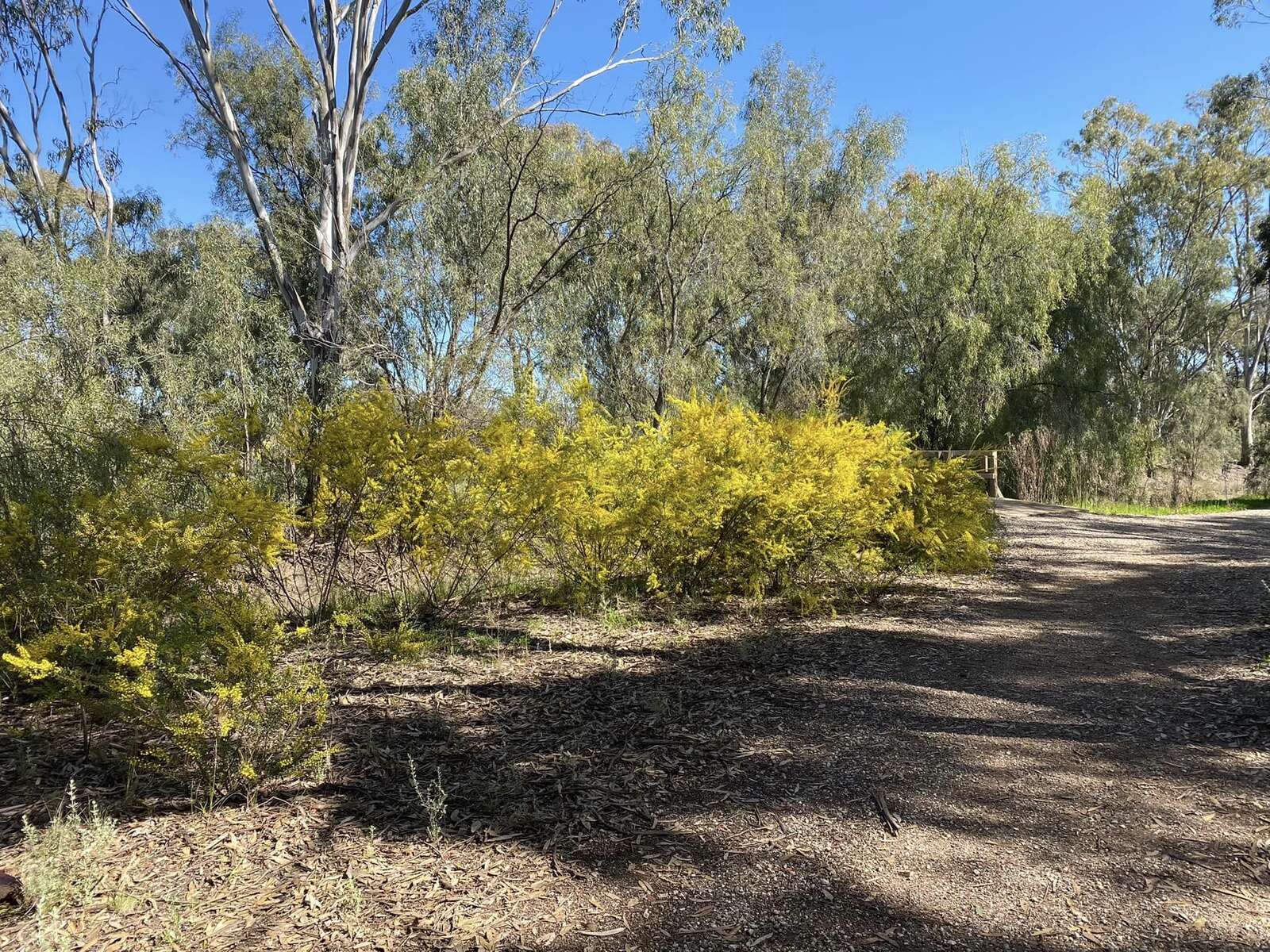 Blake Botanic Reserve ready for opening | Benalla Ensign